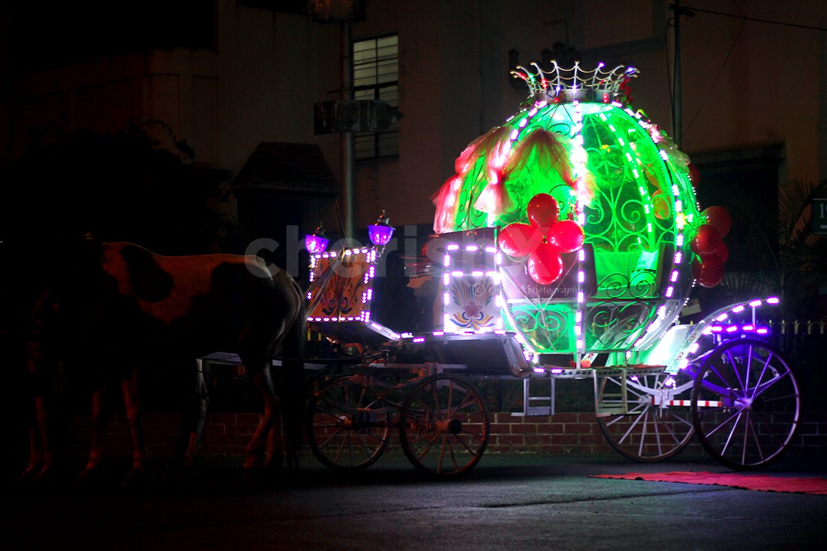 Fairytale Carriage Ride | Kolkata