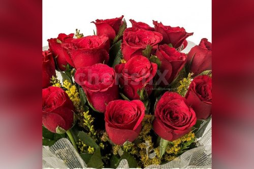 Send a Birthday 30 Red Roses Bucket to surprise them - Free & On-Time ...