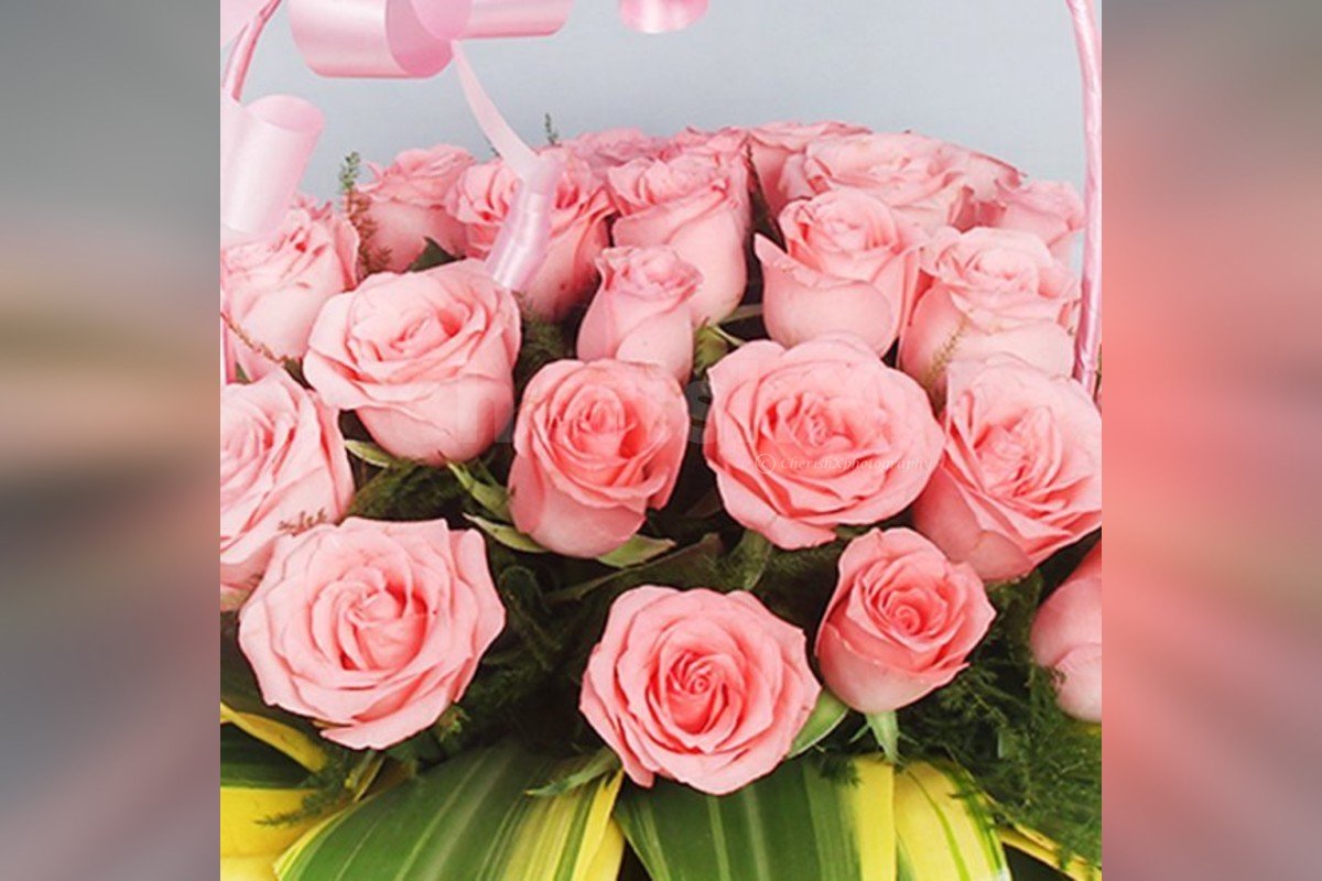 Send a Birthday 30 Pink Roses Bucket to surprise them - Free & On-Time ...