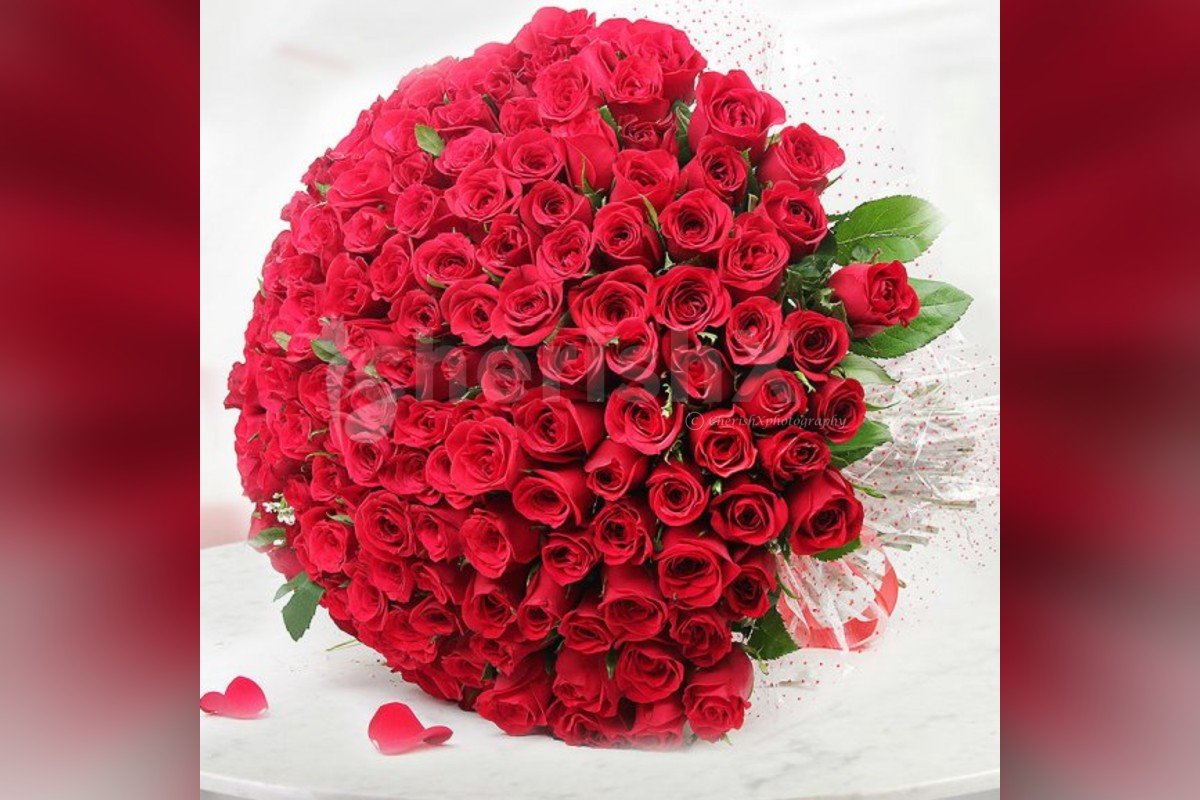 Buy 100 Red Roses grand bouquet Online and get them delivered for free ...