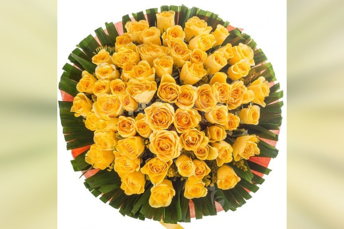 Buy 50 Yellow Roses blooming bouquet Online and get them delivered for ...
