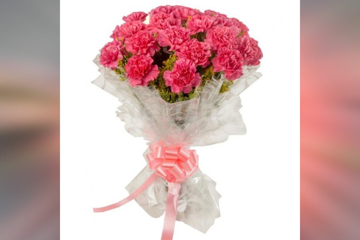 Send a Birthday 20 pink carnations Bouquet to surprise them - Free & On ...
