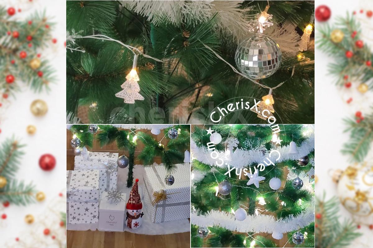 Add a magical touch to your place with this gorgeous White Winter ...